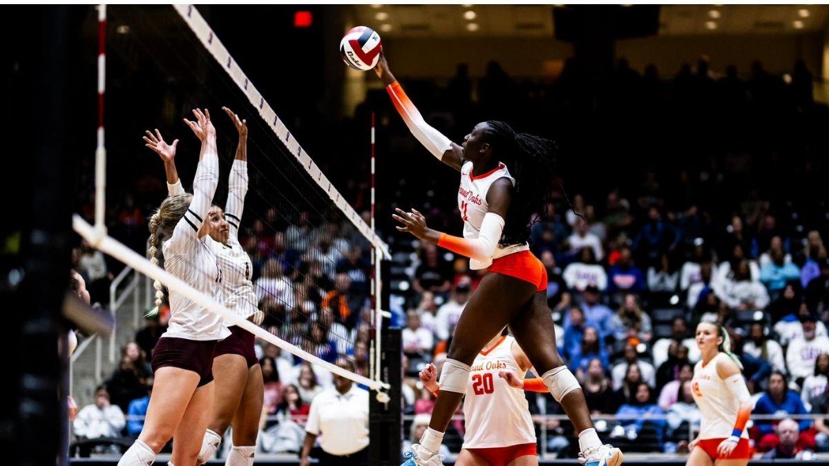 Indoor Volleyball Net Systems: The Ultimate Guide | Sports Imports